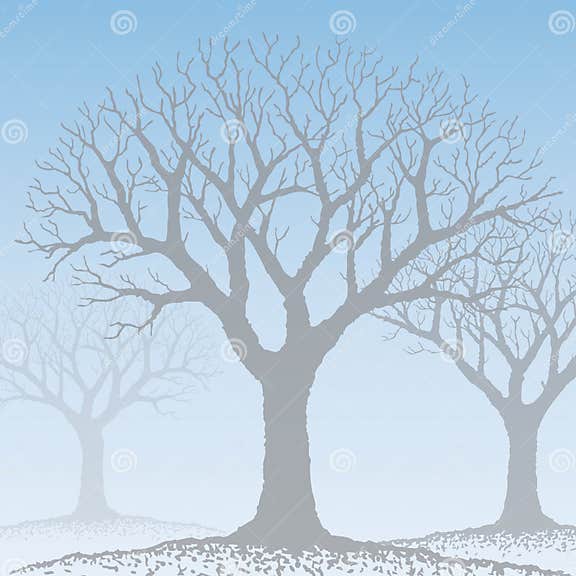 Bare tree (vector) stock vector. Illustration of meadow - 7565552