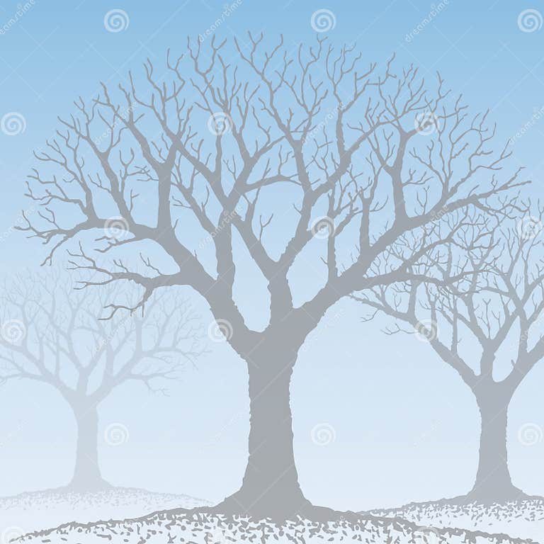 Bare tree (vector) stock vector. Illustration of meadow - 7565552
