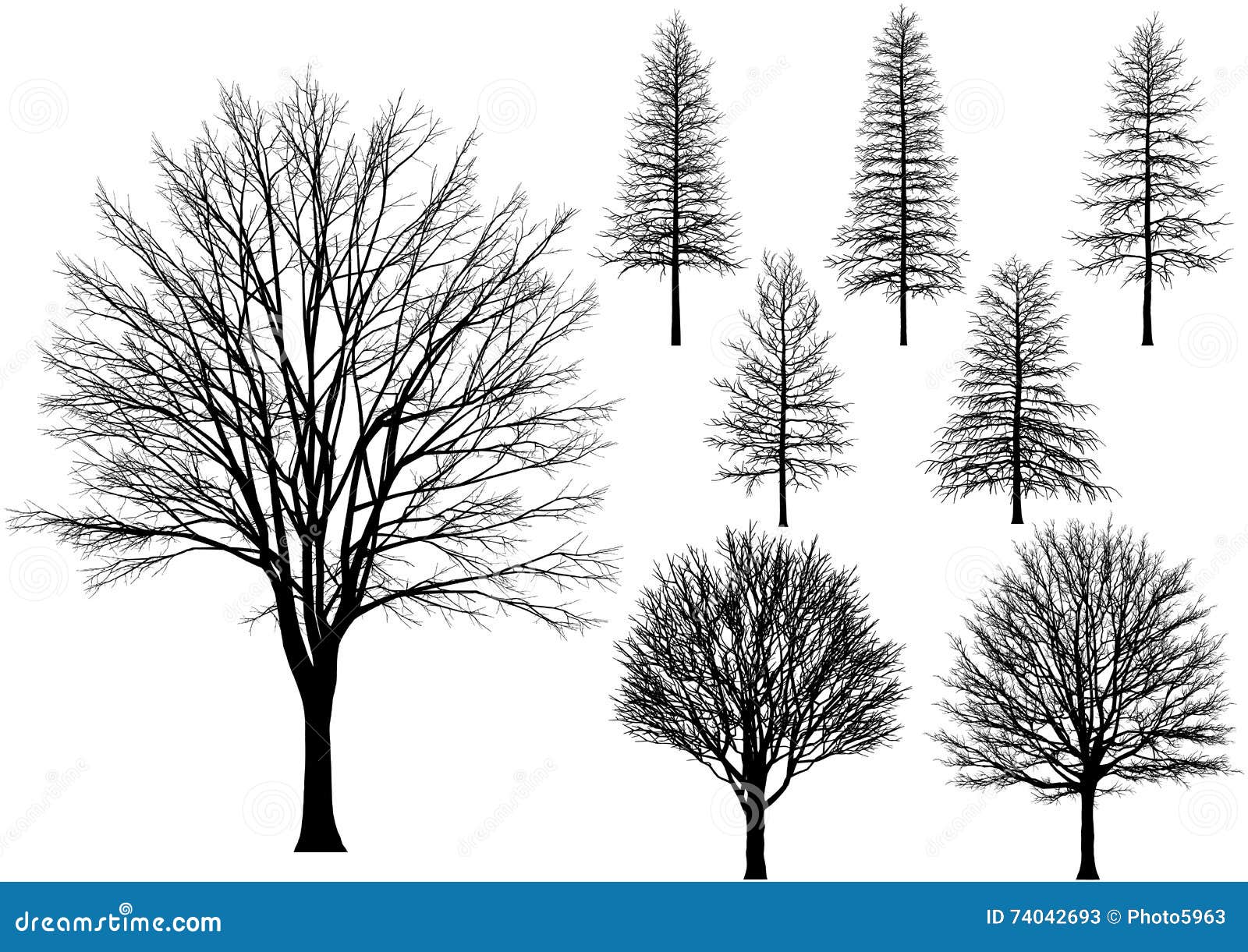 Bare tree. stock vector. Illustration of pattern, closeup - 74042693
