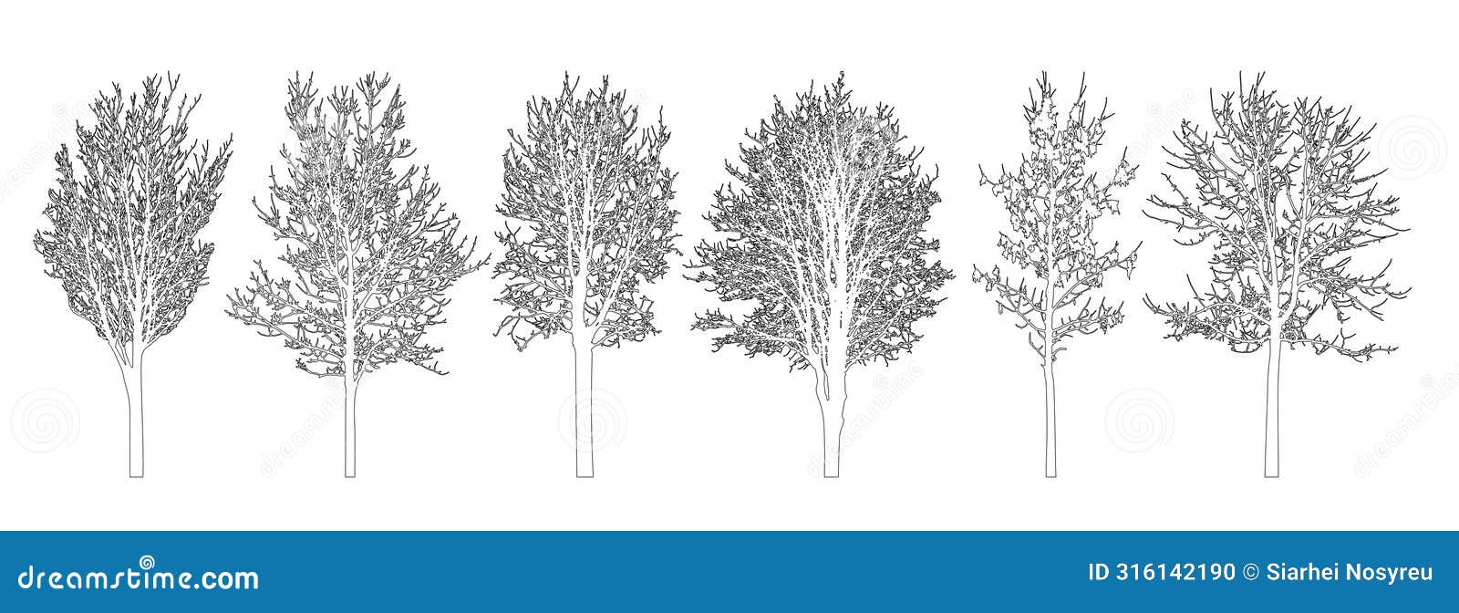 Bare Trees Contour, Set. Beautiful Leafless Trees Stock Vector ...