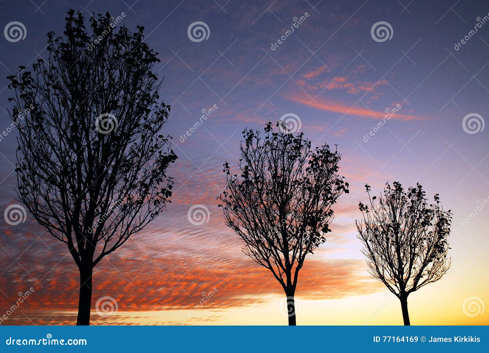 Bare Trees in a Late Autumn Sunset Stock Image - Image of kansas ...