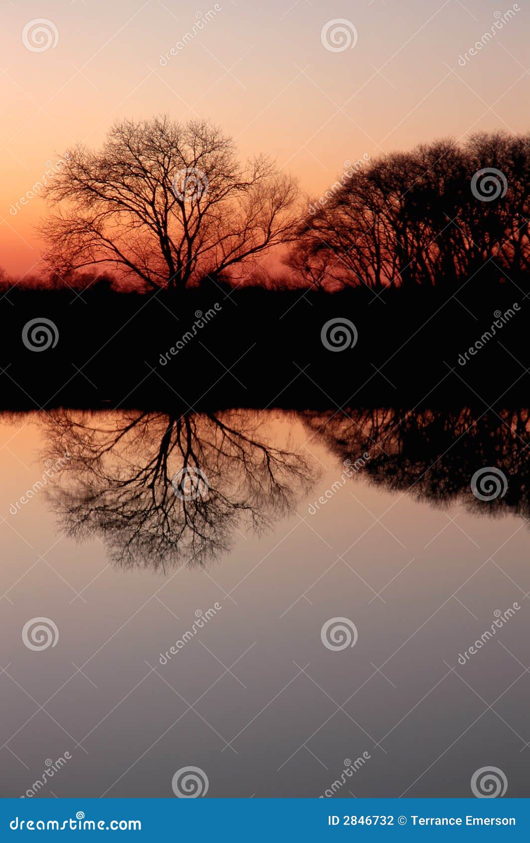Bare Trees at Sunset stock photo. Image of trees, sunset - 2846732