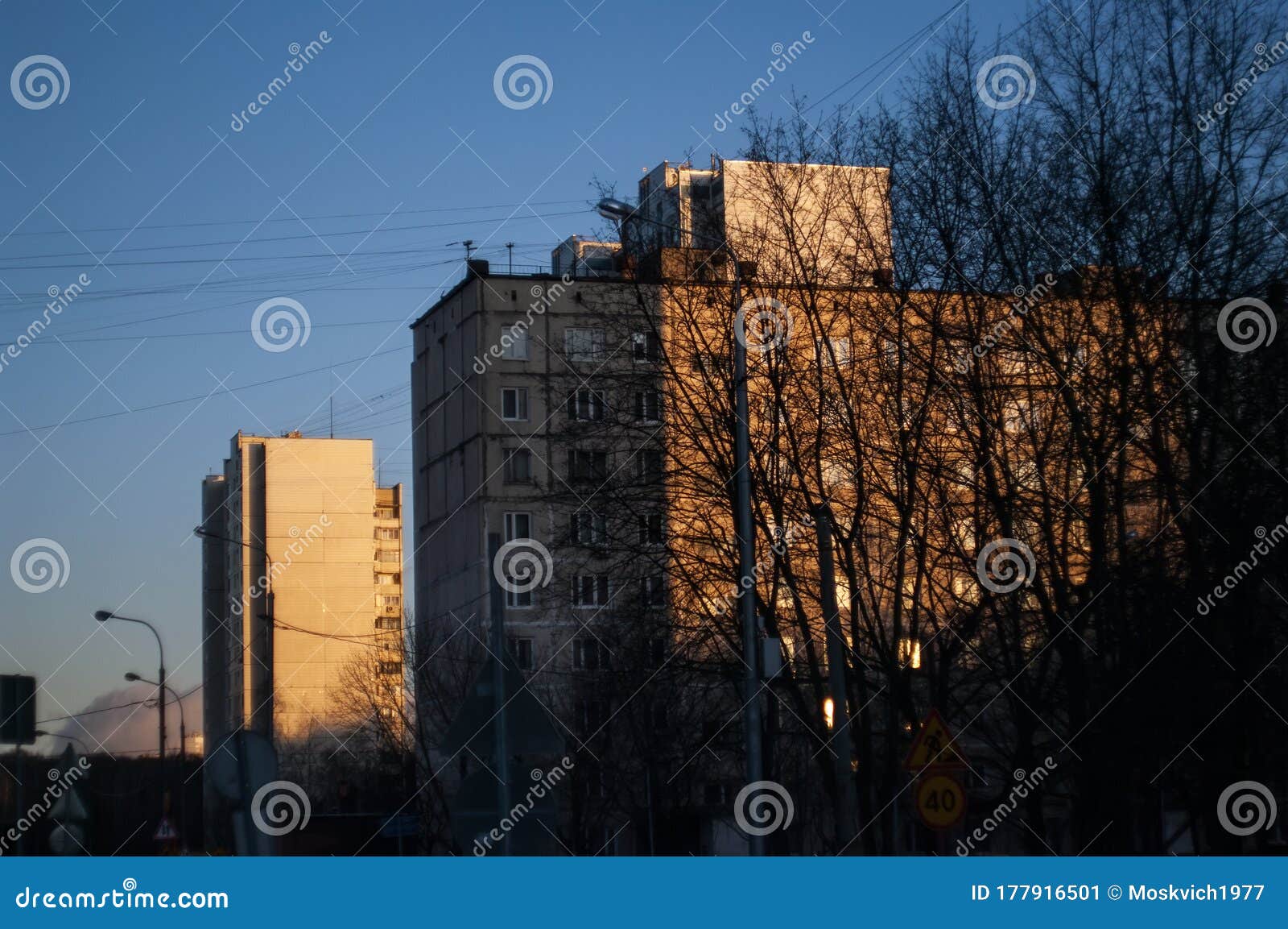 Bare Trees in Winter on the Background of a Multi-storey Building Stock ...