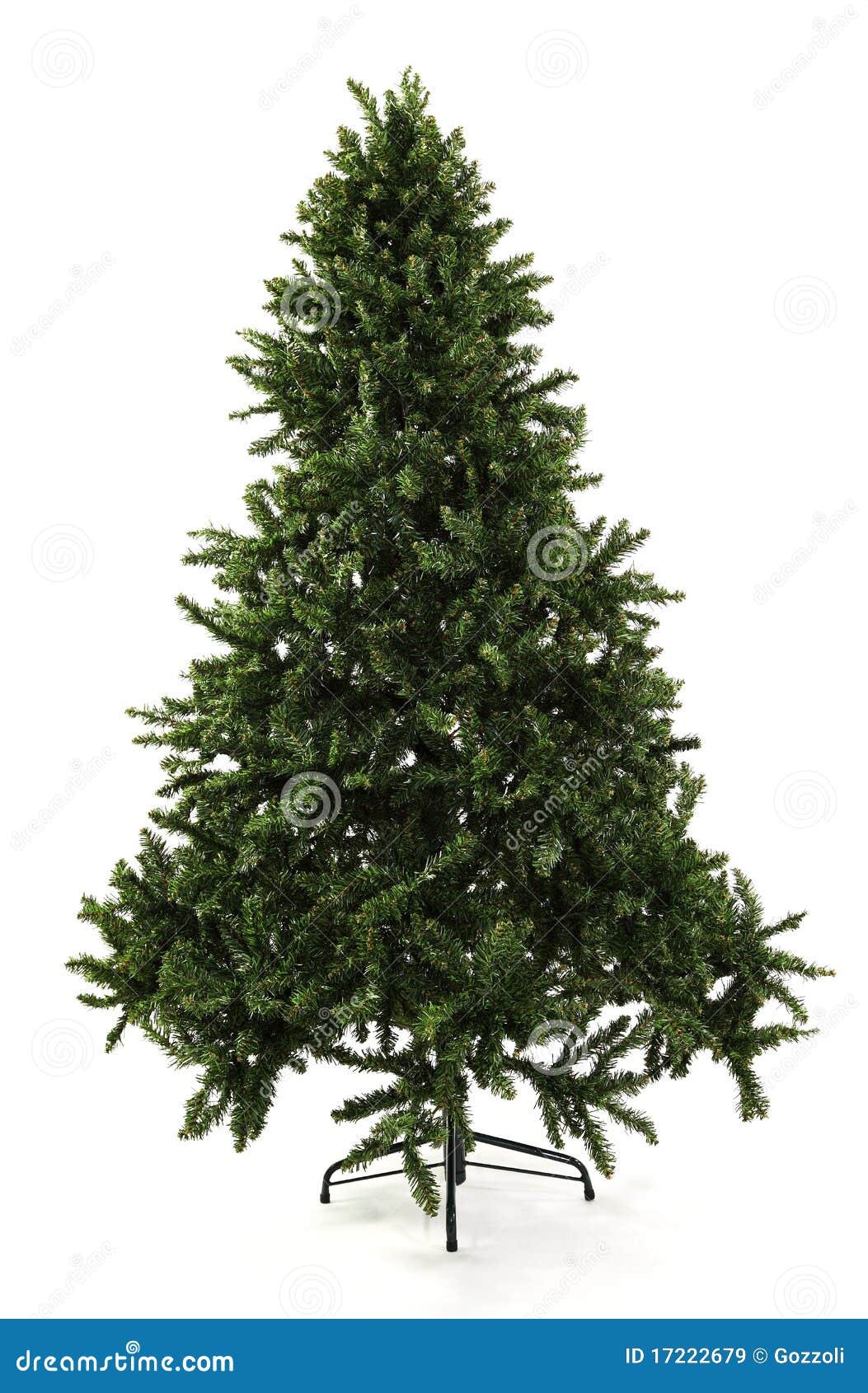 Bare Undecorated Christmas Tree Stock Image - Image of empty, conifer ...