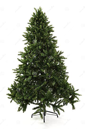 Bare Undecorated Christmas Tree Stock Image - Image of empty, conifer ...