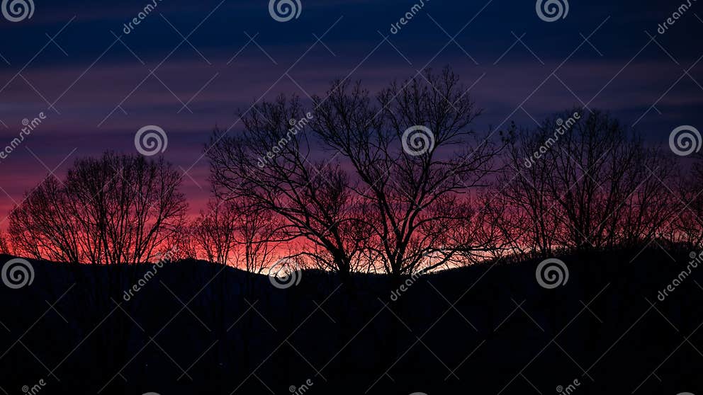Bare Winter Trees Standing Silently before the Beautiful Sunset Stock ...
