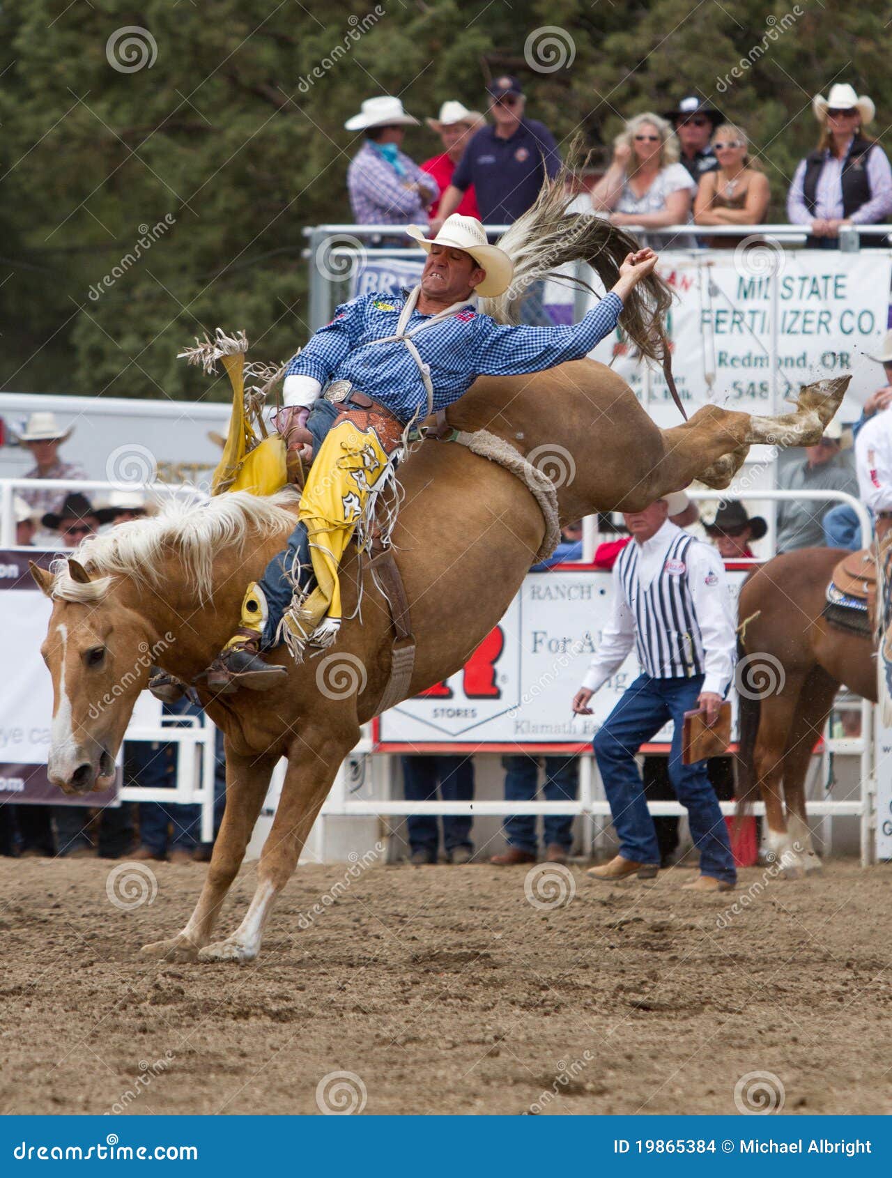 Bareback - PRCA Sisters, Oregon Rodeo 2011 Editorial Stock Image ...
