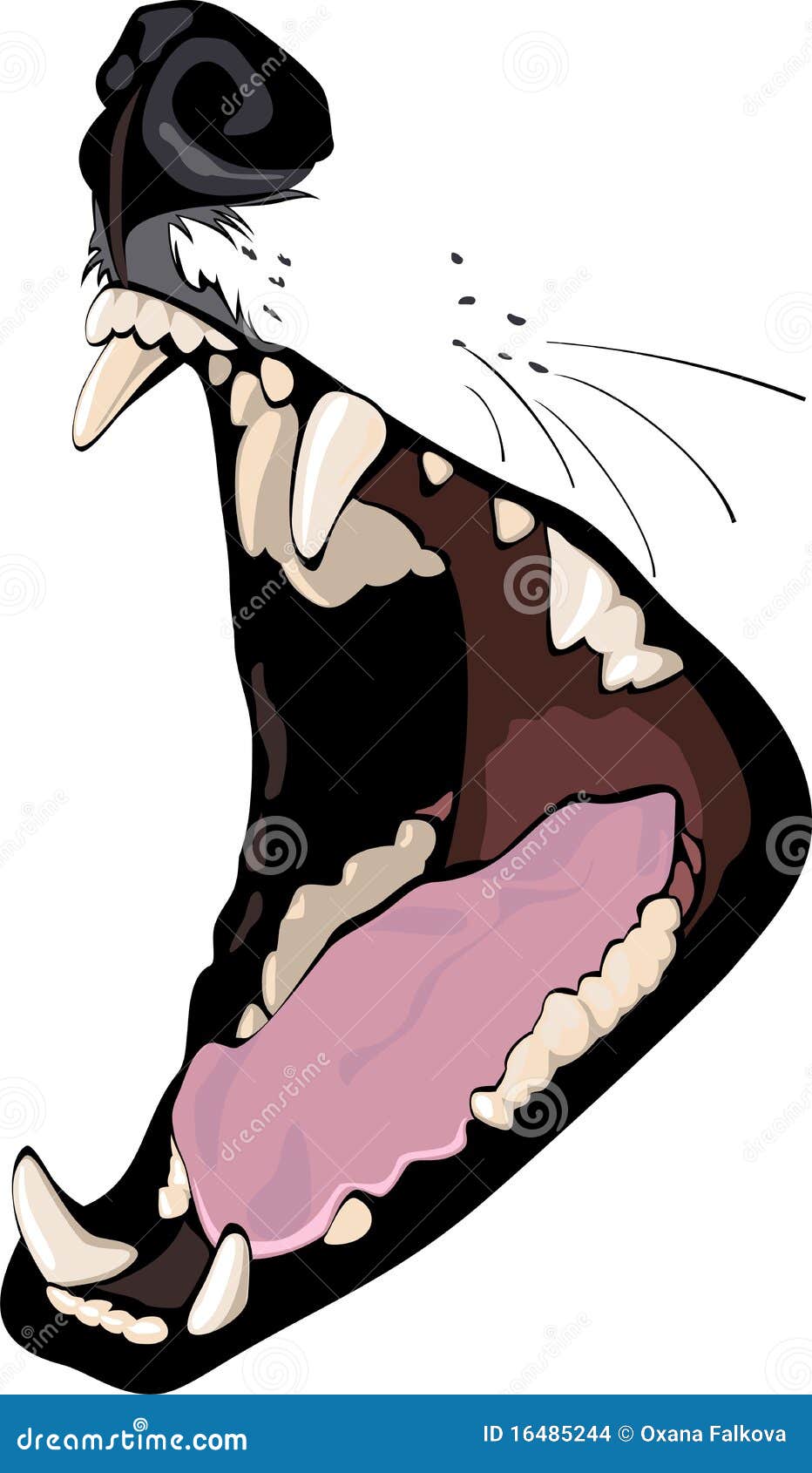 Bared teeth stock vector. Illustration of animal, vector - 16485244