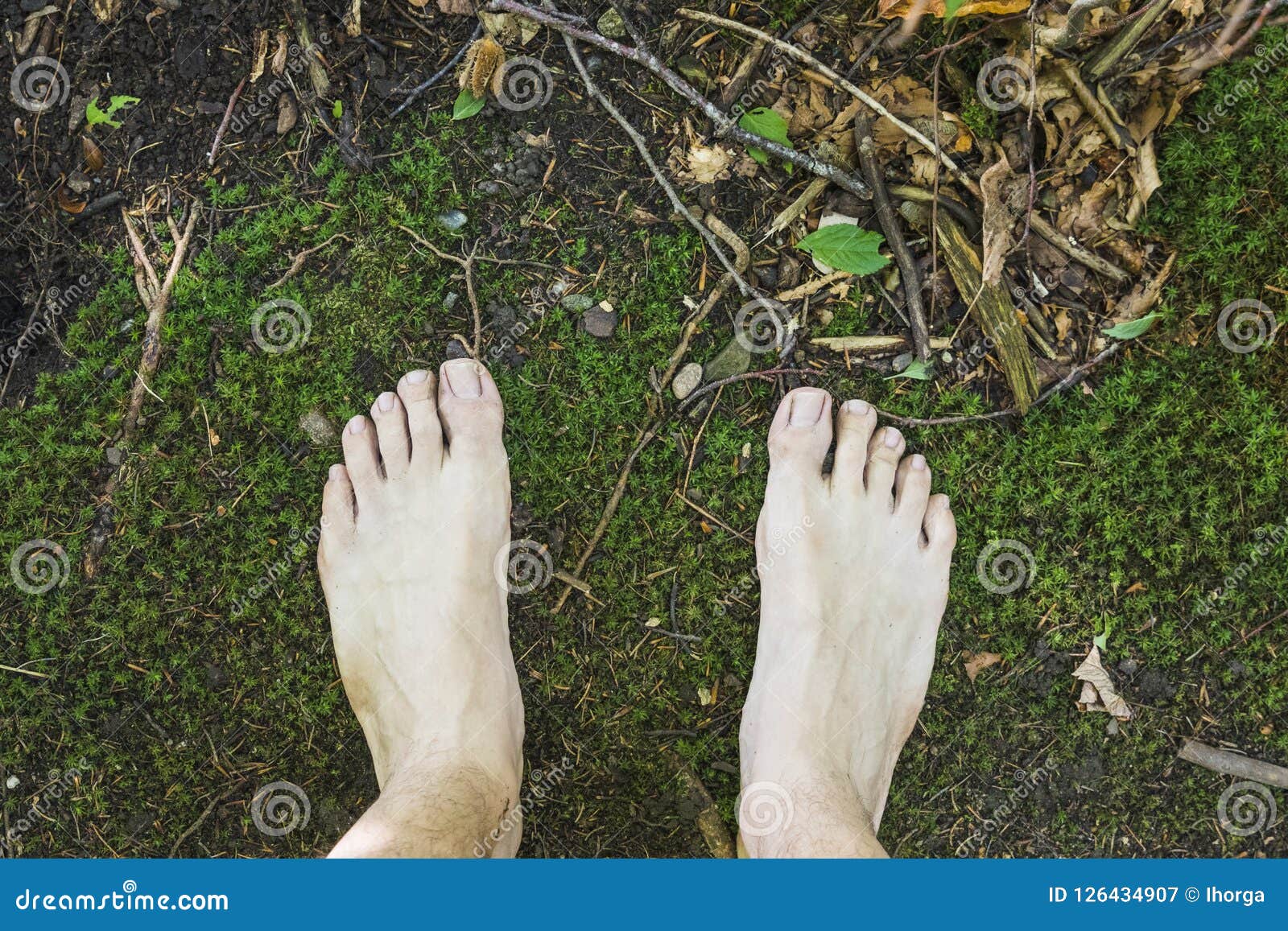 A Barefoot Aerial View on Mossy Surface in the Forest Stock Image ...