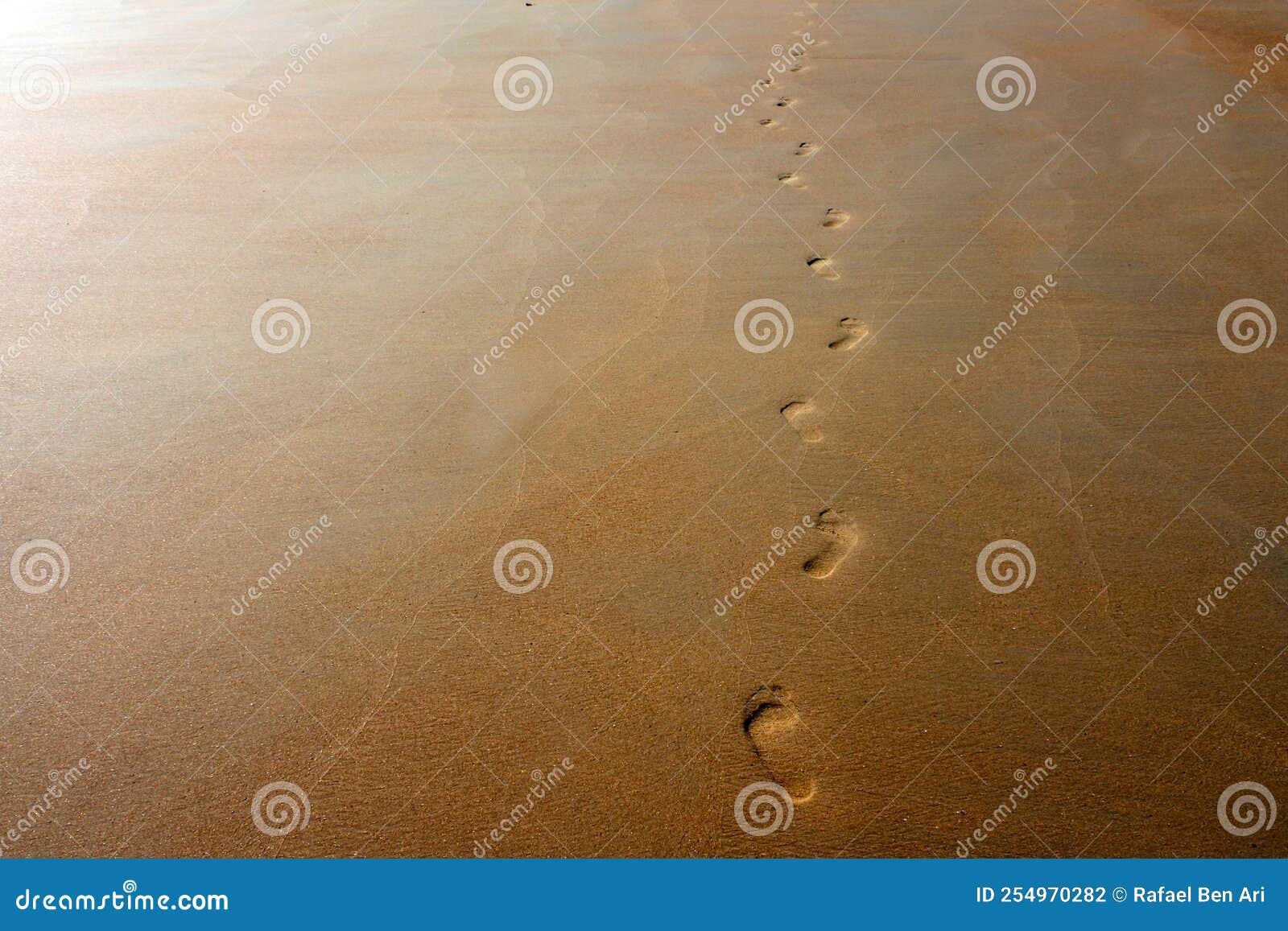 Barefoot Human Footsteps on an Empty Sandy Beach Stock Photo - Image of ...