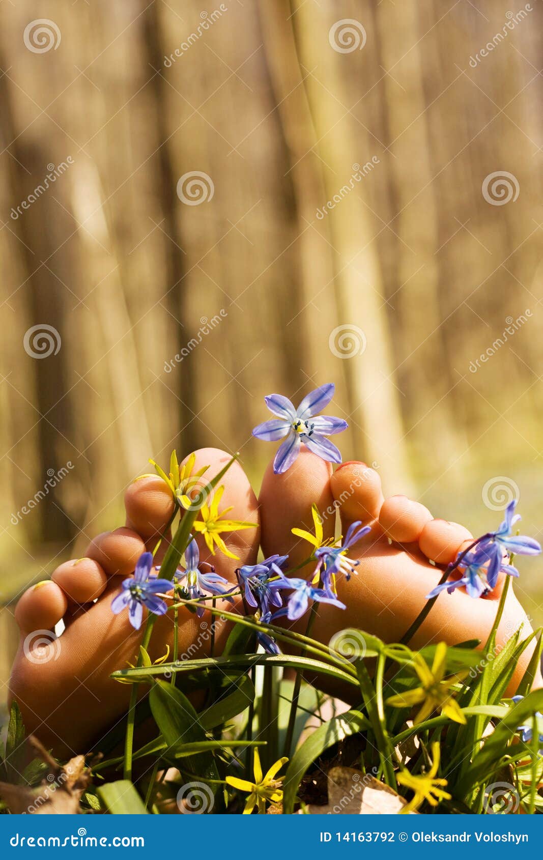 Barefooted Tender Woman S Feet in Spring Flowers Stock Photo - Image of ...