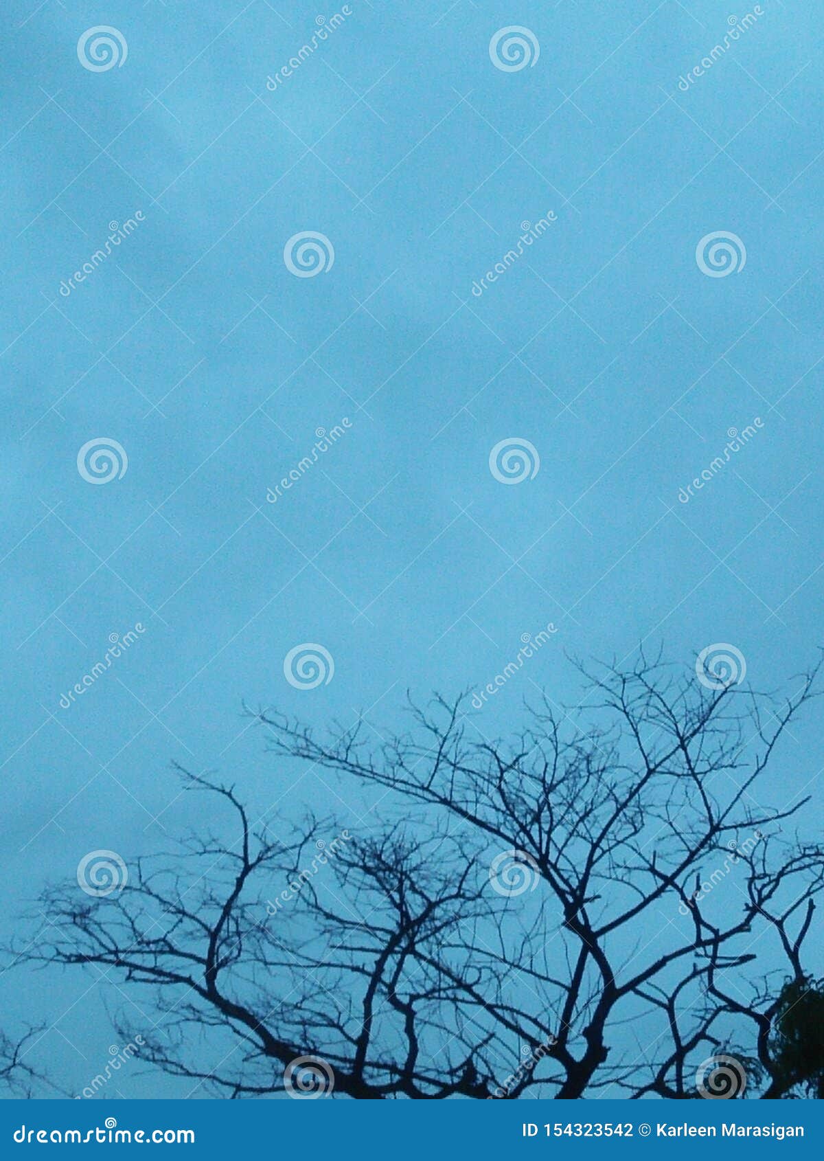 Bareness stock photo. Image of blue, wallpaper, bareness - 154323542