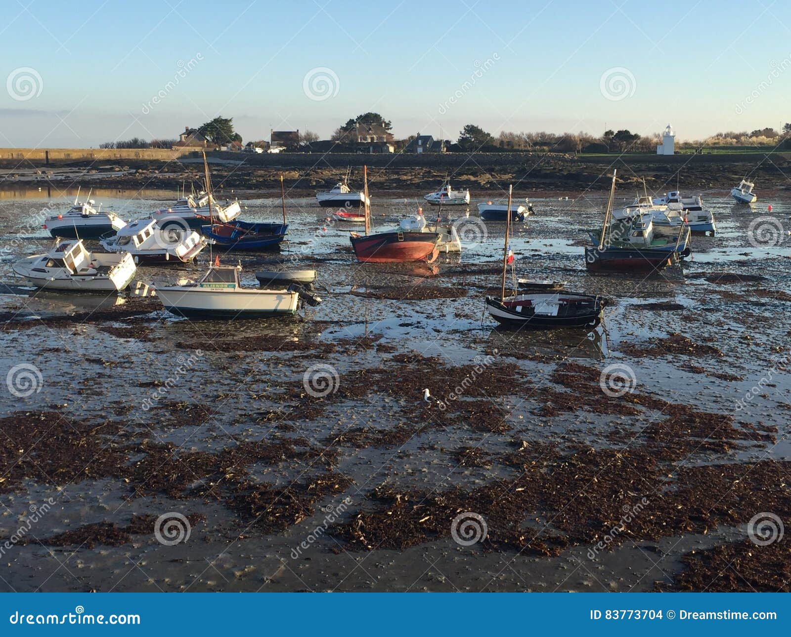 Barfleur editorial stock image. Image of beach, boats - 83773704