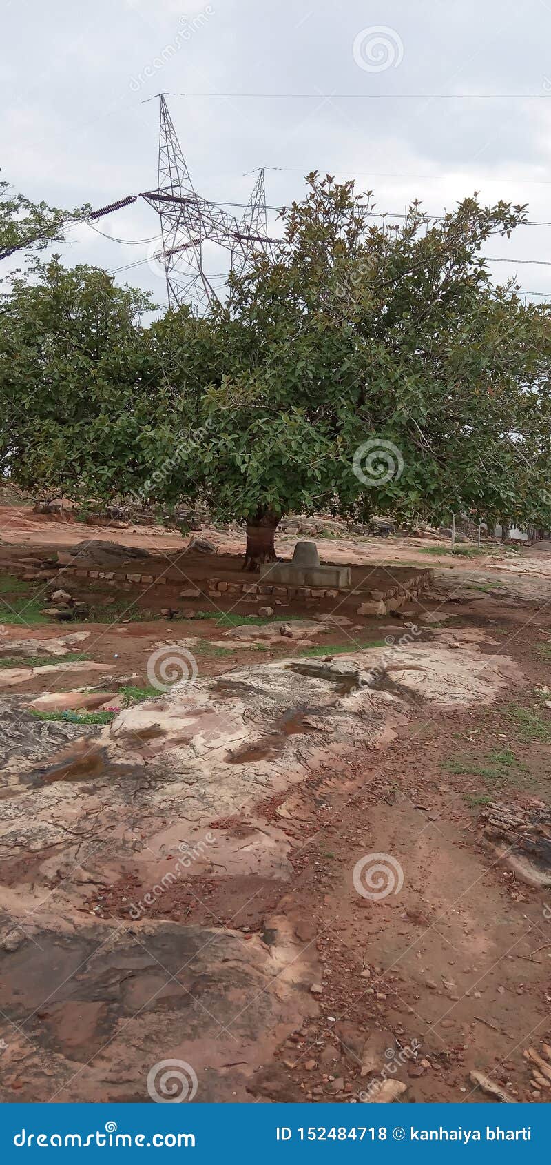 Bargad Tree Tempal on Panchmukhi Mahadev Ji Stock Photo - Image of ...