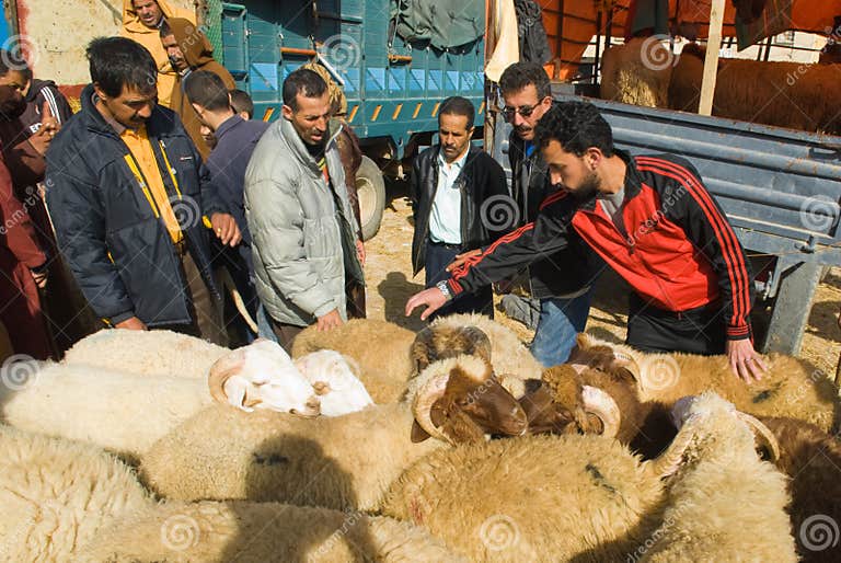 Bargaining for a Sheep for the Sacrifice of Eid Al Editorial Stock ...