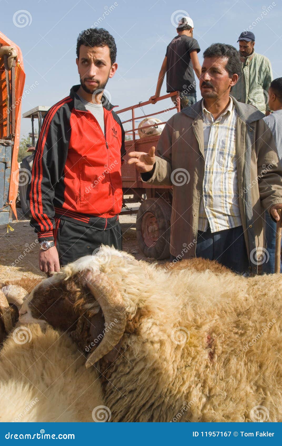Bargaining for a Sheep for the Sacrifice of Eid Al Editorial ...