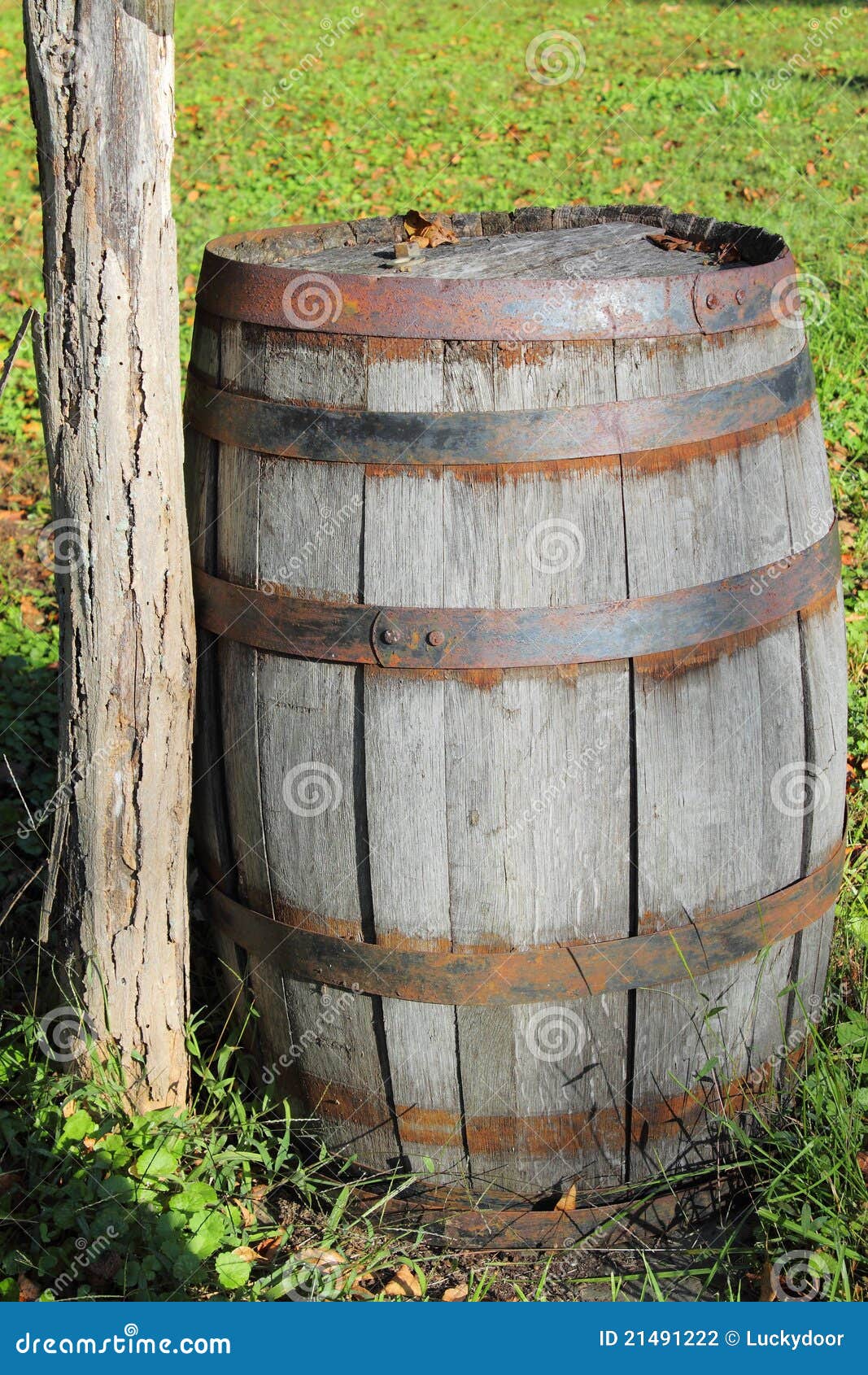 Baril de vin photo stock. Image du bois, barils, industrie - 21491222