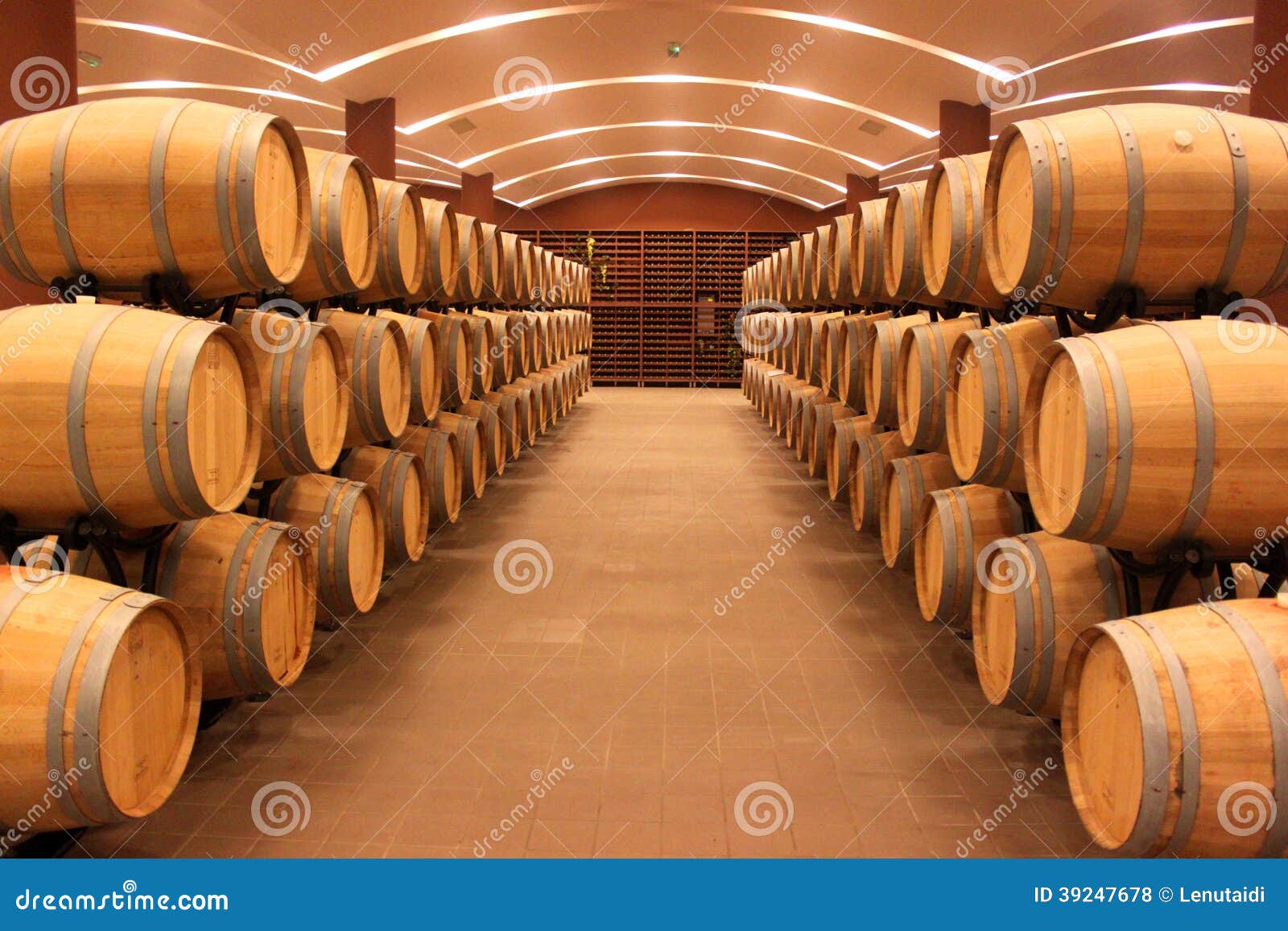 Barilotti della cantina fotografia stock. Immagine di bevanda - 39247678