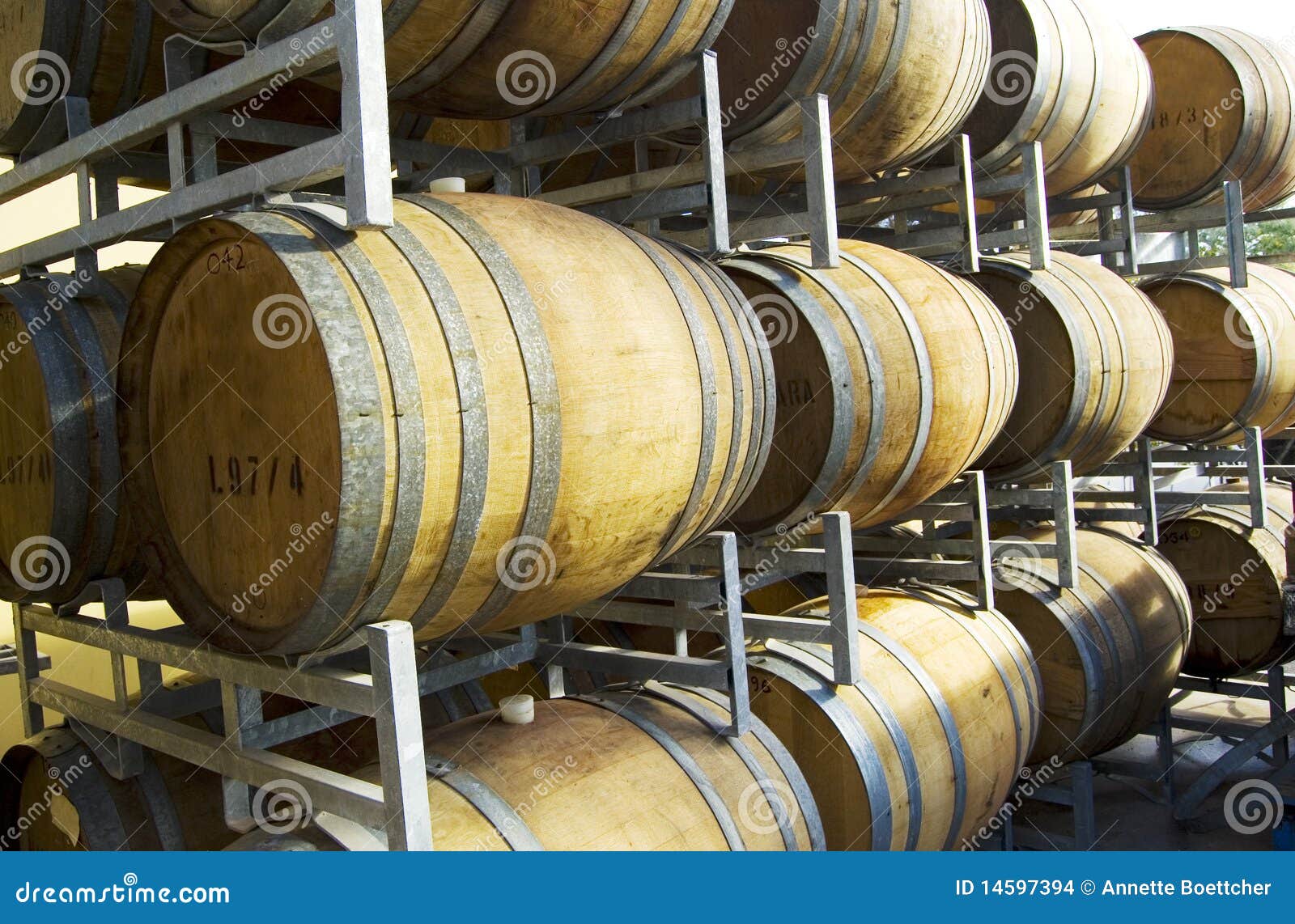 Barilotti di vino fotografia stock. Immagine di mensole - 14597394