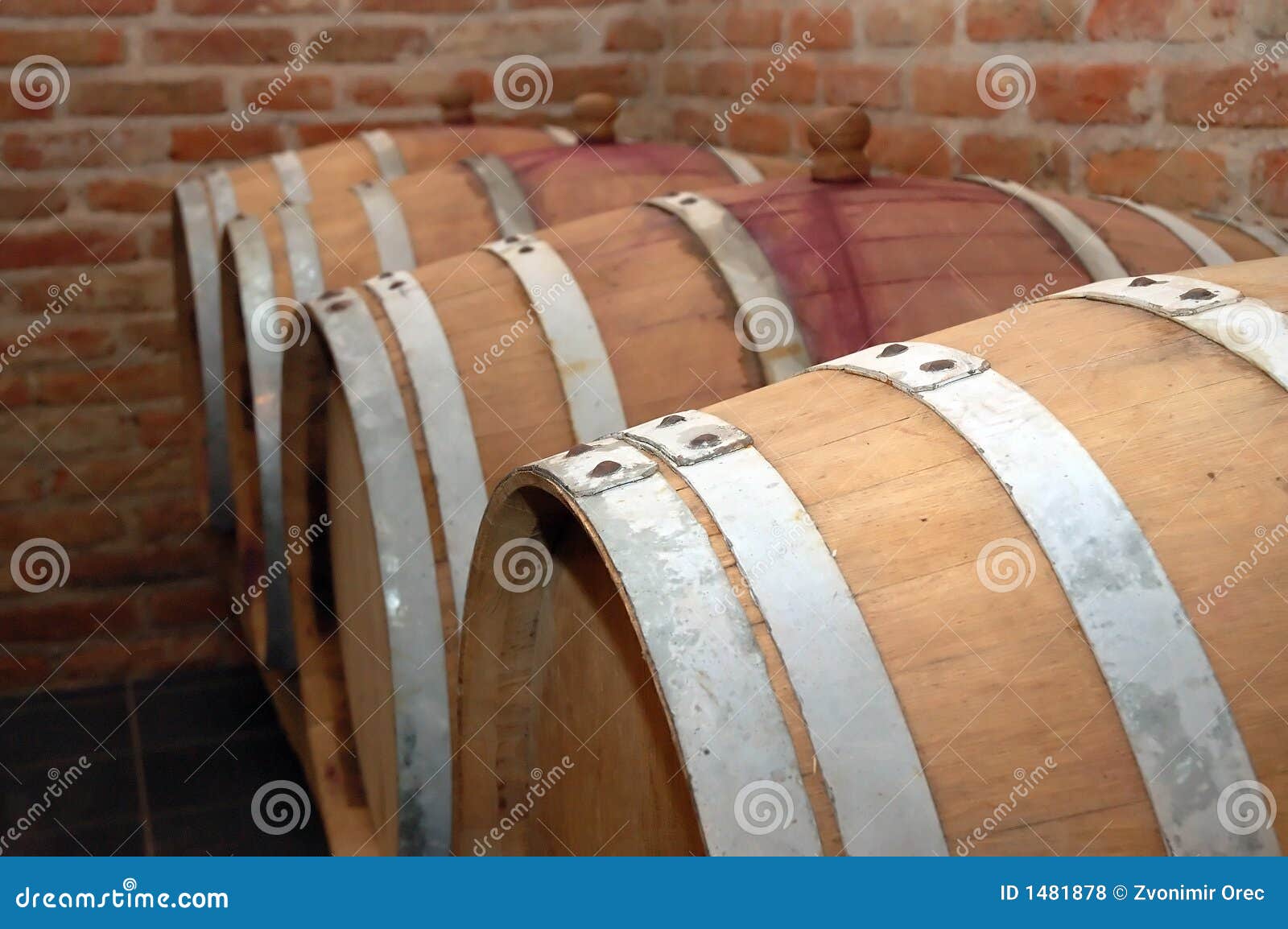 Barilotti di vino fotografia stock. Immagine di barilotti - 1481878