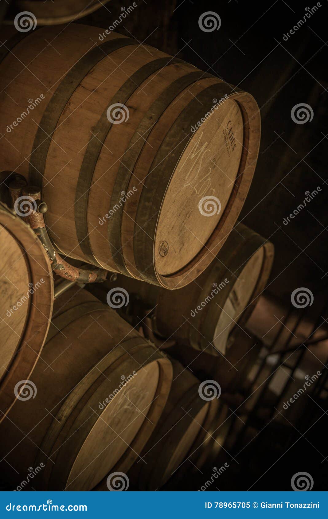 Barilotti Nella Cantina Per Vini Immagine Editoriale - Immagine di ...