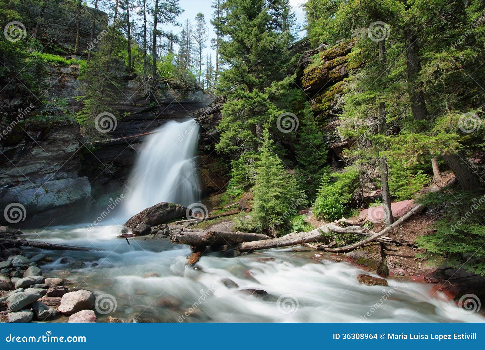 Baring Falls in Glacier National Park Stock Photo - Image of falls ...