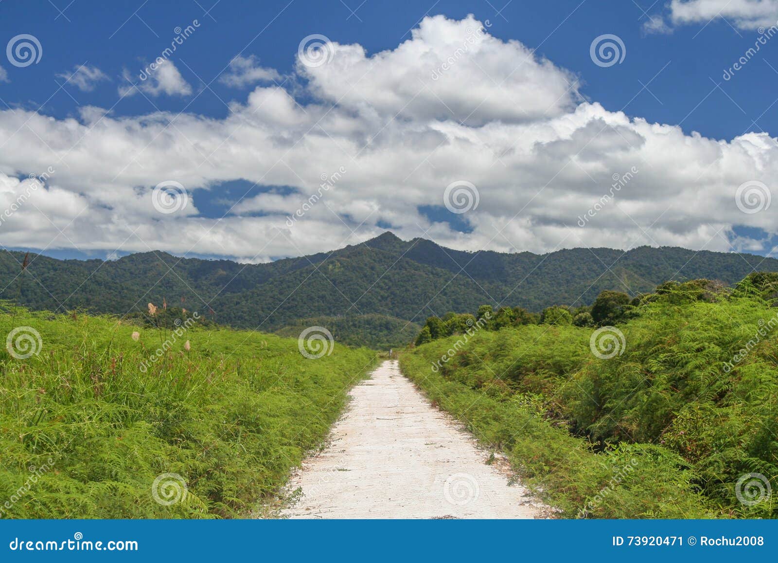 Bario. View of the Nature Landscape / Borneo Stock Image - Image of ...