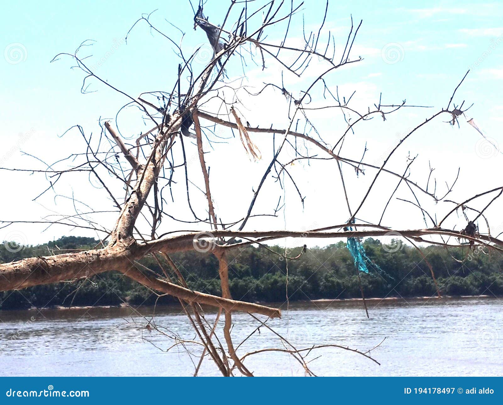 Barito Rivers Indonesia Beautiful Land Stock Image - Image of indonesia ...