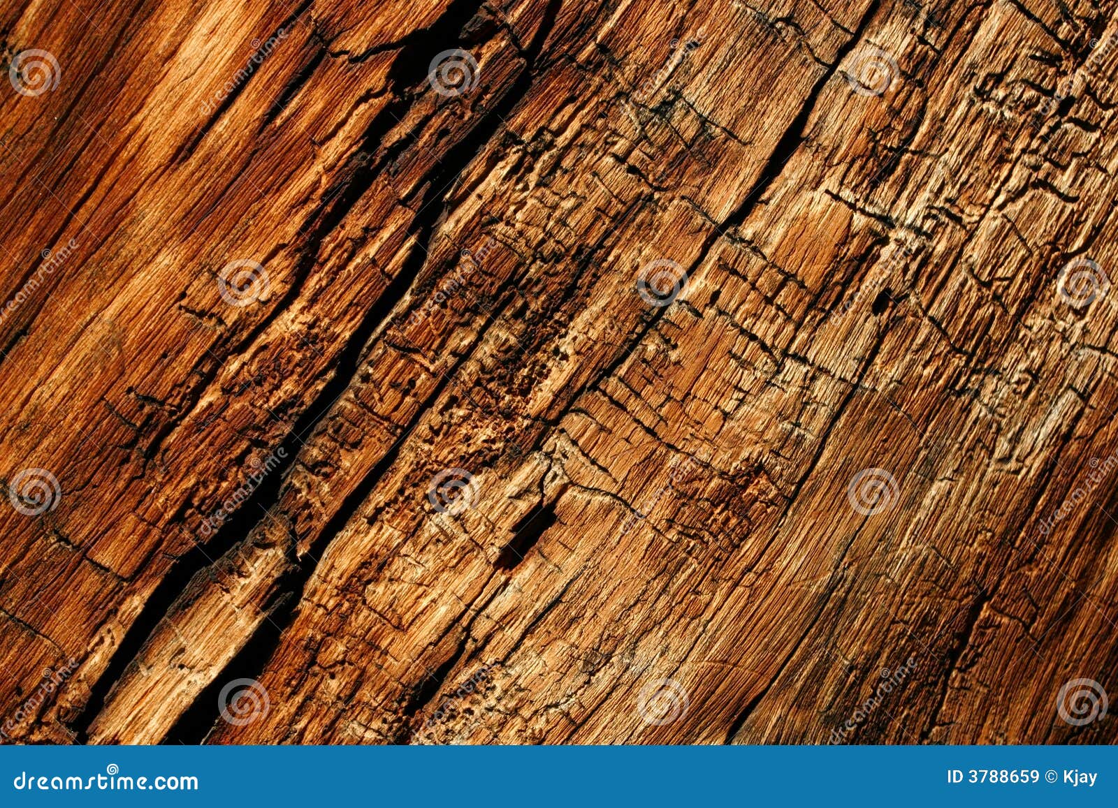 Bark Background stock image. Image of pattern, close, snag - 3788659