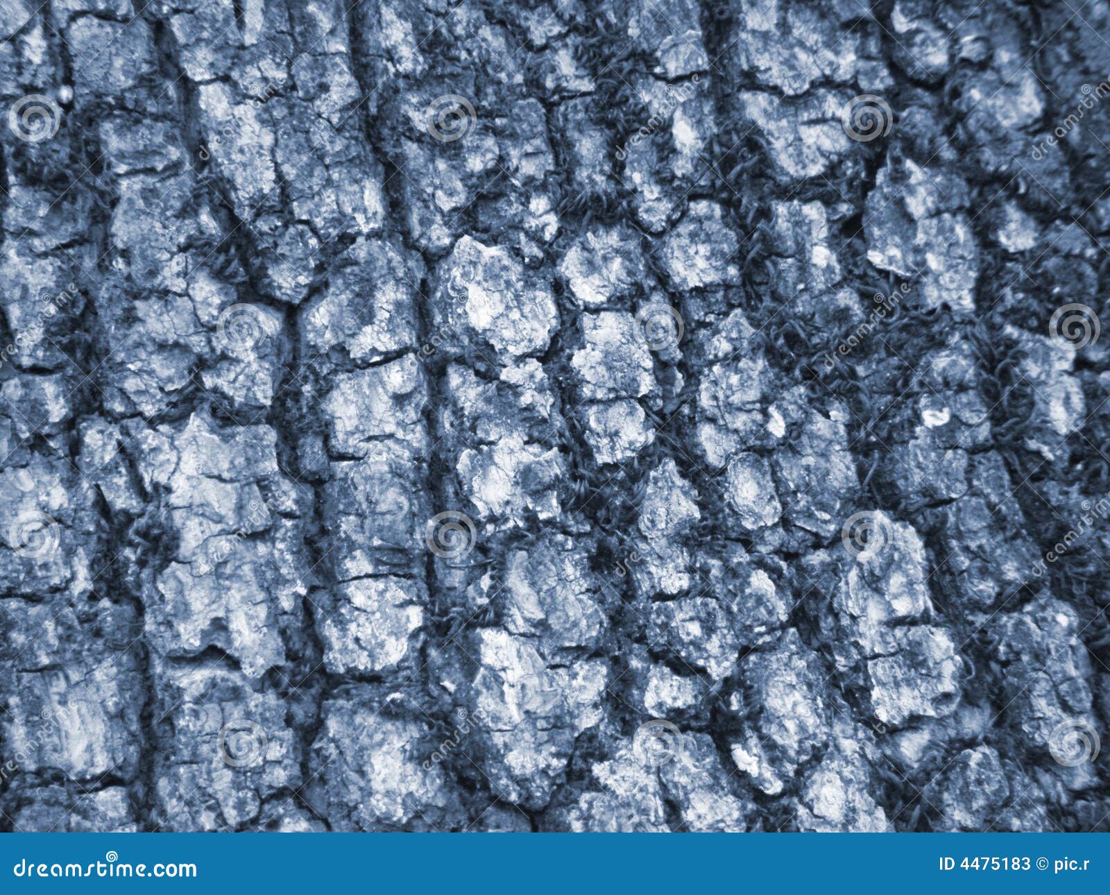 Bark background stock image. Image of tree, detail, grain - 4475183