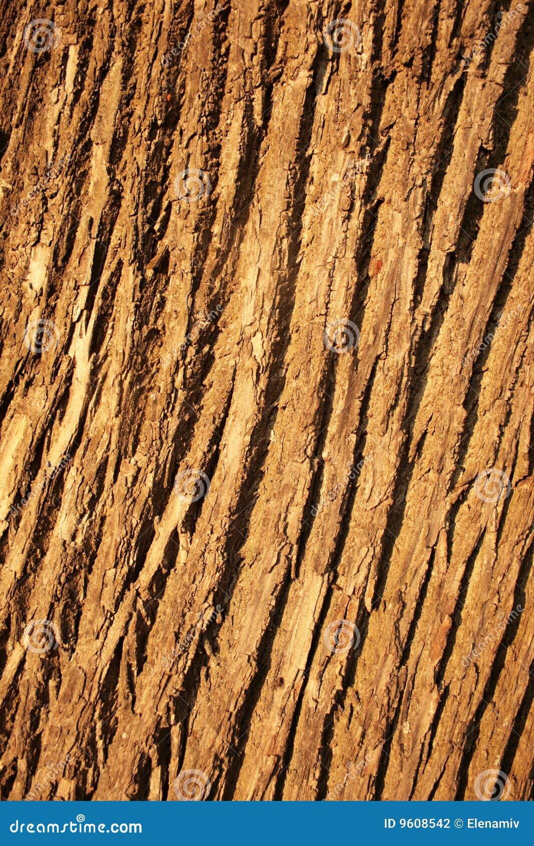 Bark background. stock photo. Image of background, dark - 9608542