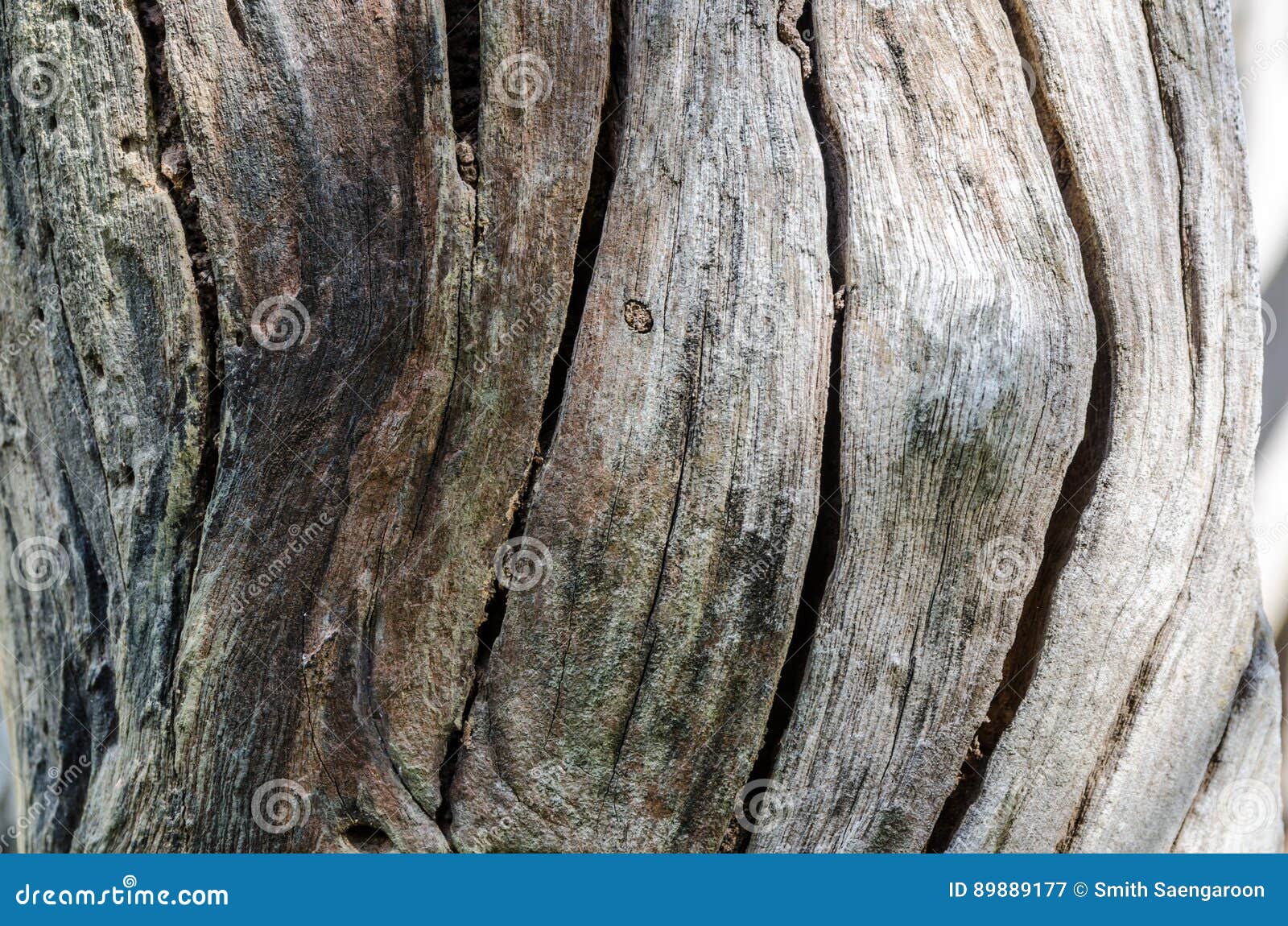 Bark stock image. Image of tree, ragged, dirty, bark - 89889177