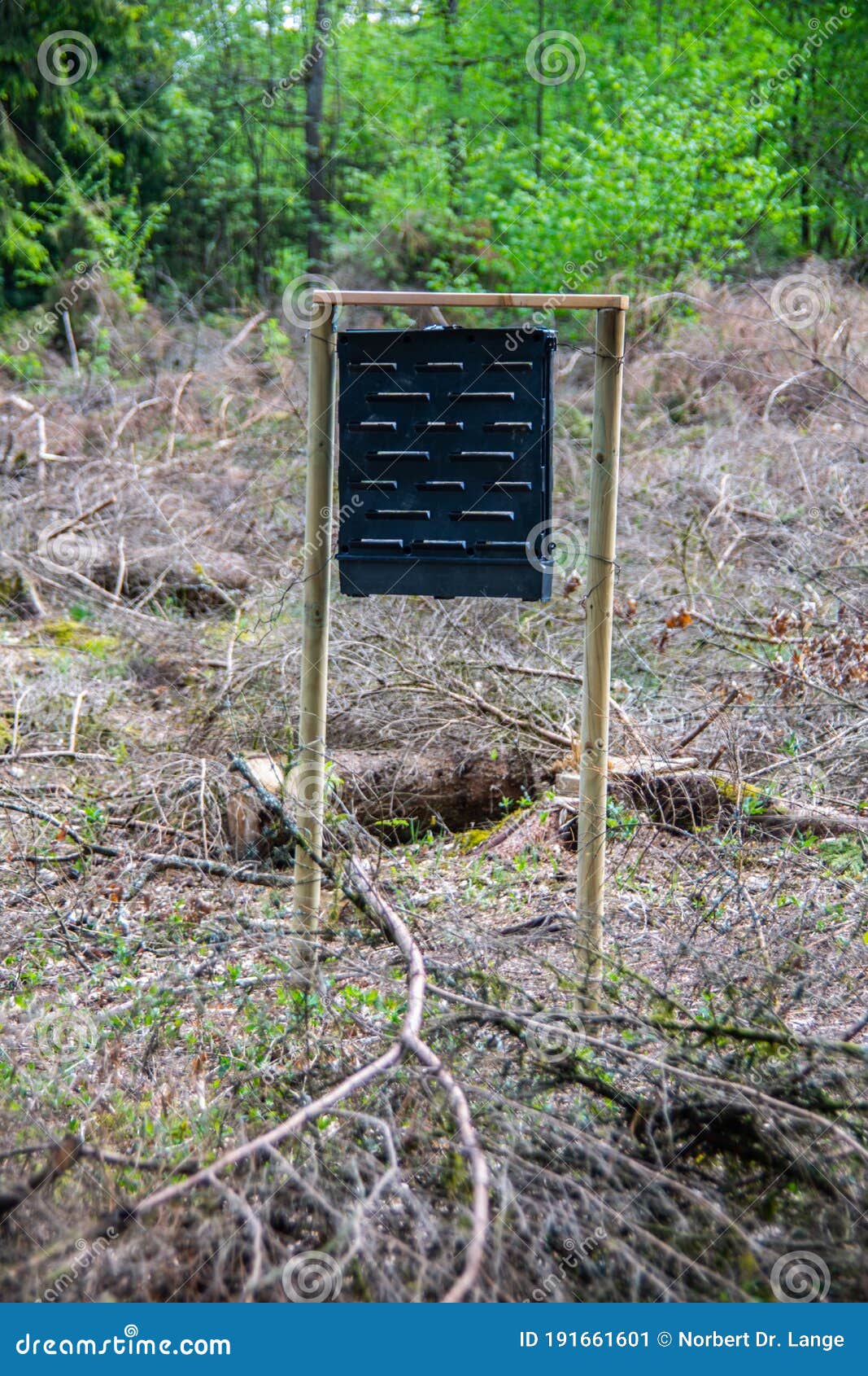 Bark Beetle Trap on Rack in the Forest Stock Image - Image of ...