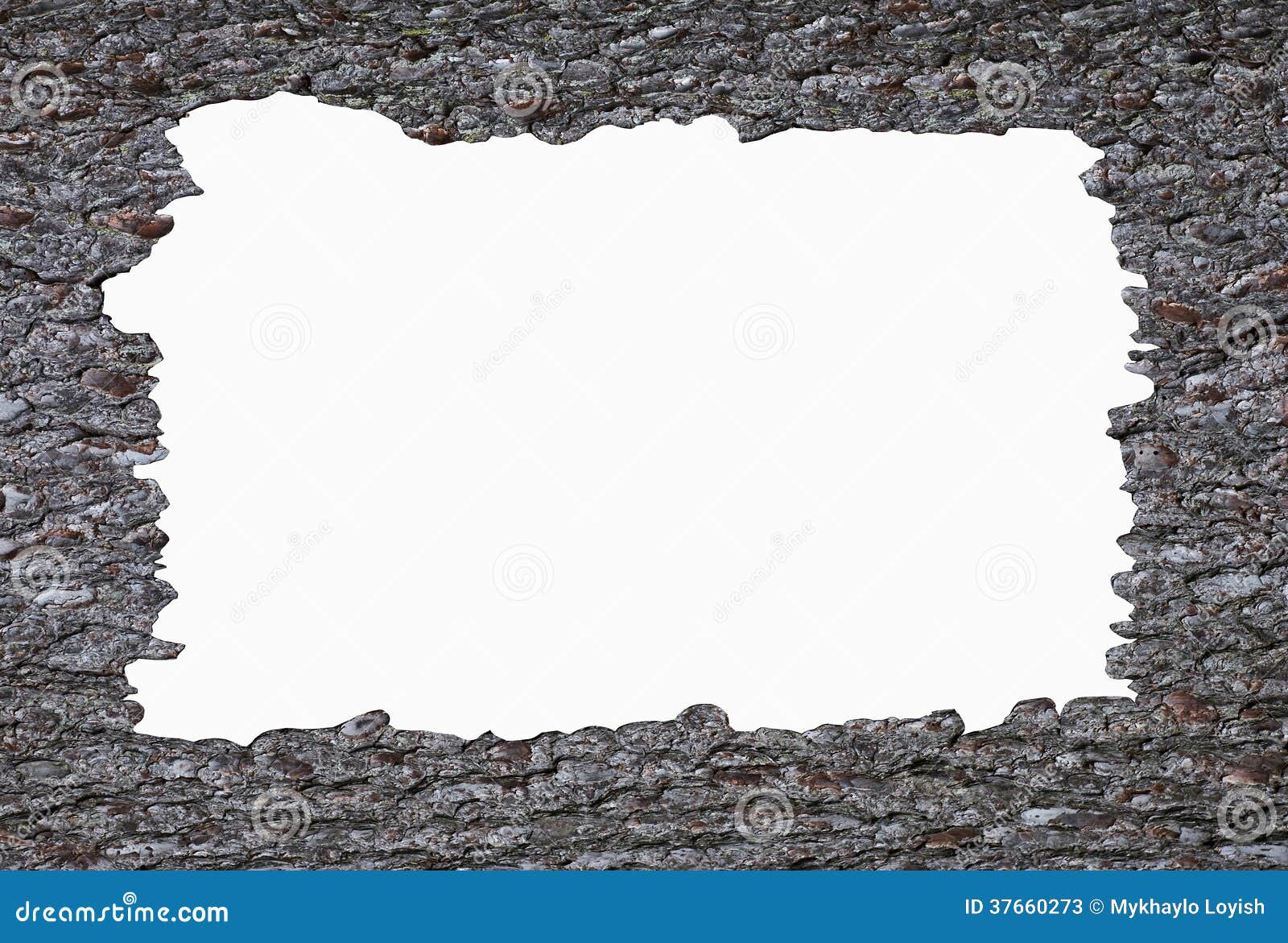 Bark border stock image. Image of forest, brown, protection - 37660273