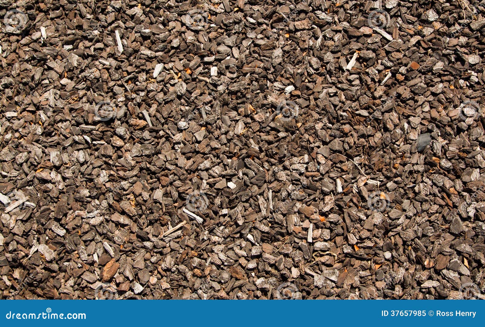 Bark Clip Texture stock image. Image of mulch, texture - 37657985