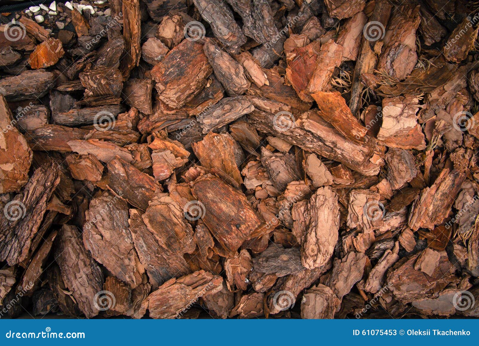 Shredded Bark And Roots Of Oak Royalty-Free Stock Image | CartoonDealer ...