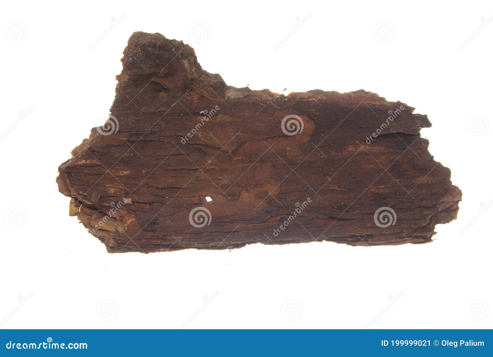 Bark Isolated on White Background Stock Image - Image of stem, natural ...