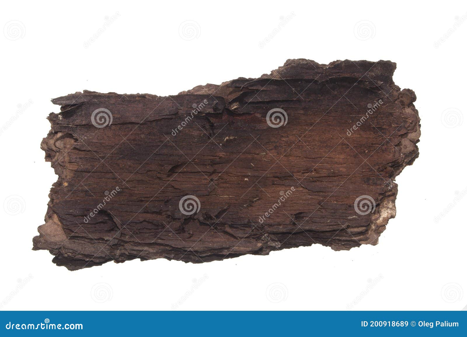 Bark Isolated on White Background Stock Image - Image of cracked, piece ...