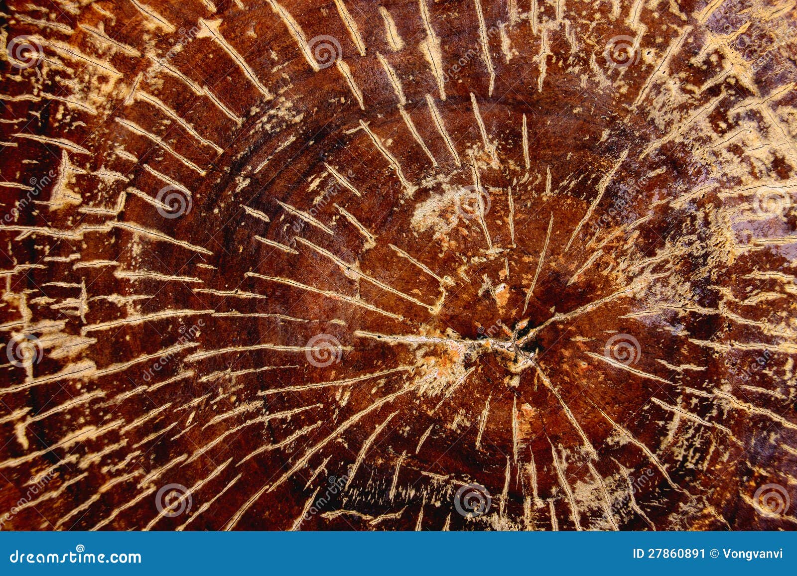 Bark line stock image. Image of material, natural, plank - 27860891