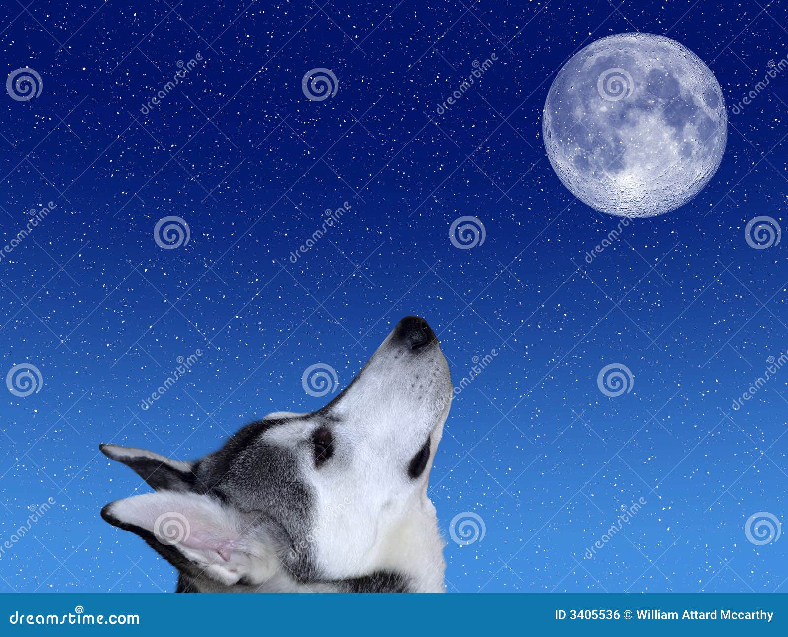 Mercy Moon Stock Photos - Free & Royalty-Free Stock Photos from Dreamstime