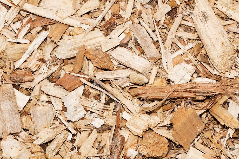 Bark mulch stock photo. Image of garden, pattern, outdoor - 24464082