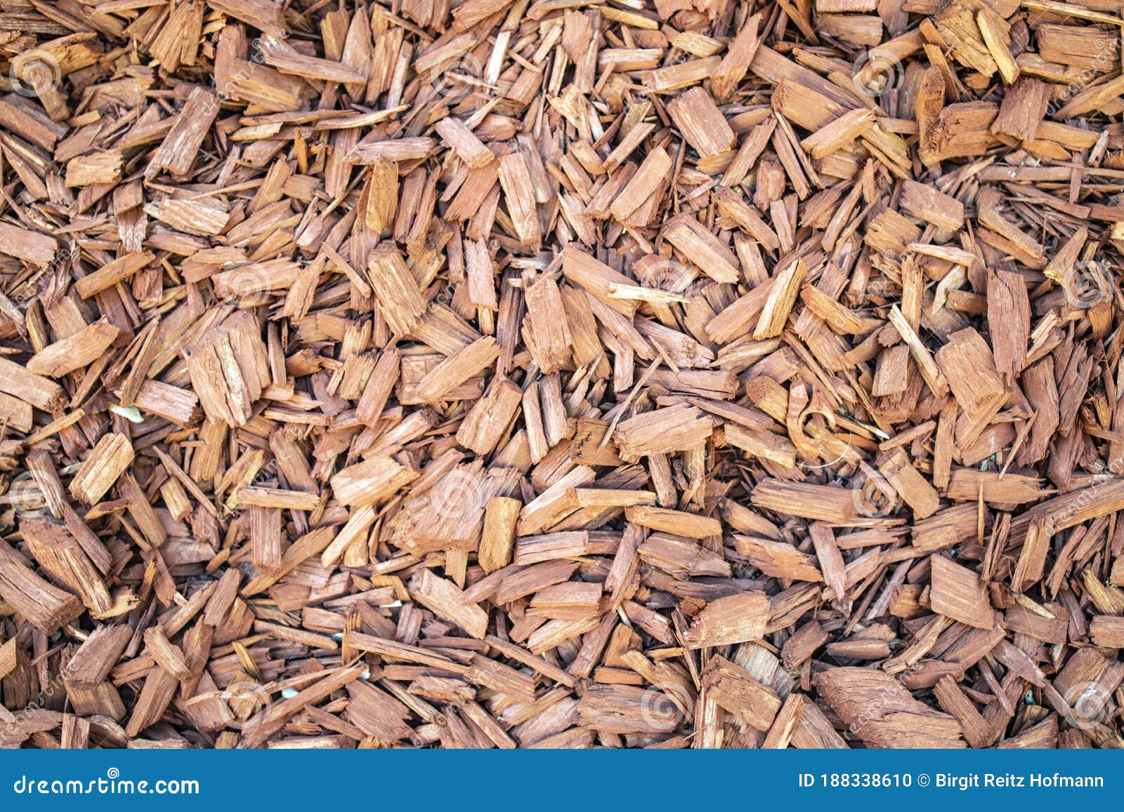 Shredded Bark And Roots Of Oak Royalty-Free Stock Image | CartoonDealer ...