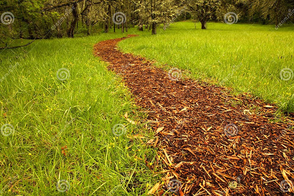 Bark path stock photo. Image of trail, mulch, field, green - 14564720