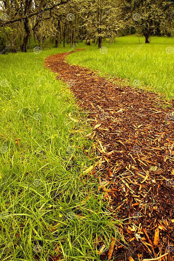 Bark path stock photo. Image of mulch, grass, path, green - 14564776