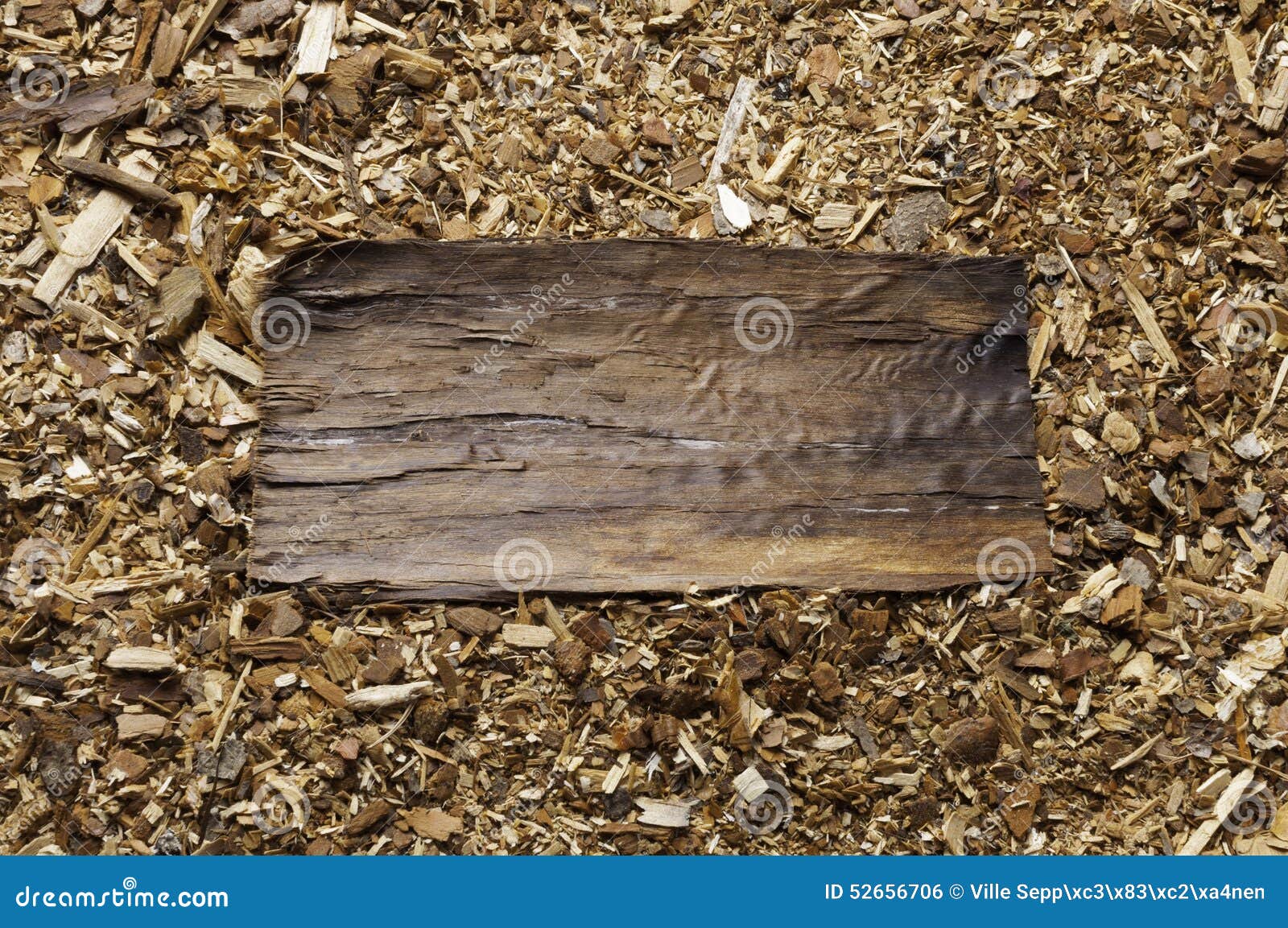 Bark sign stock photo. Image of board, dust, floor, sticks - 52656706