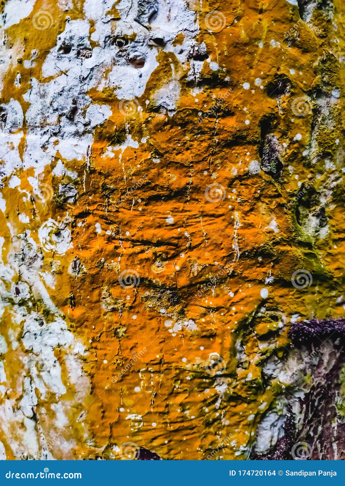 This is the Bark of the Terminalia Arjuna, is a Tree of Genus ...