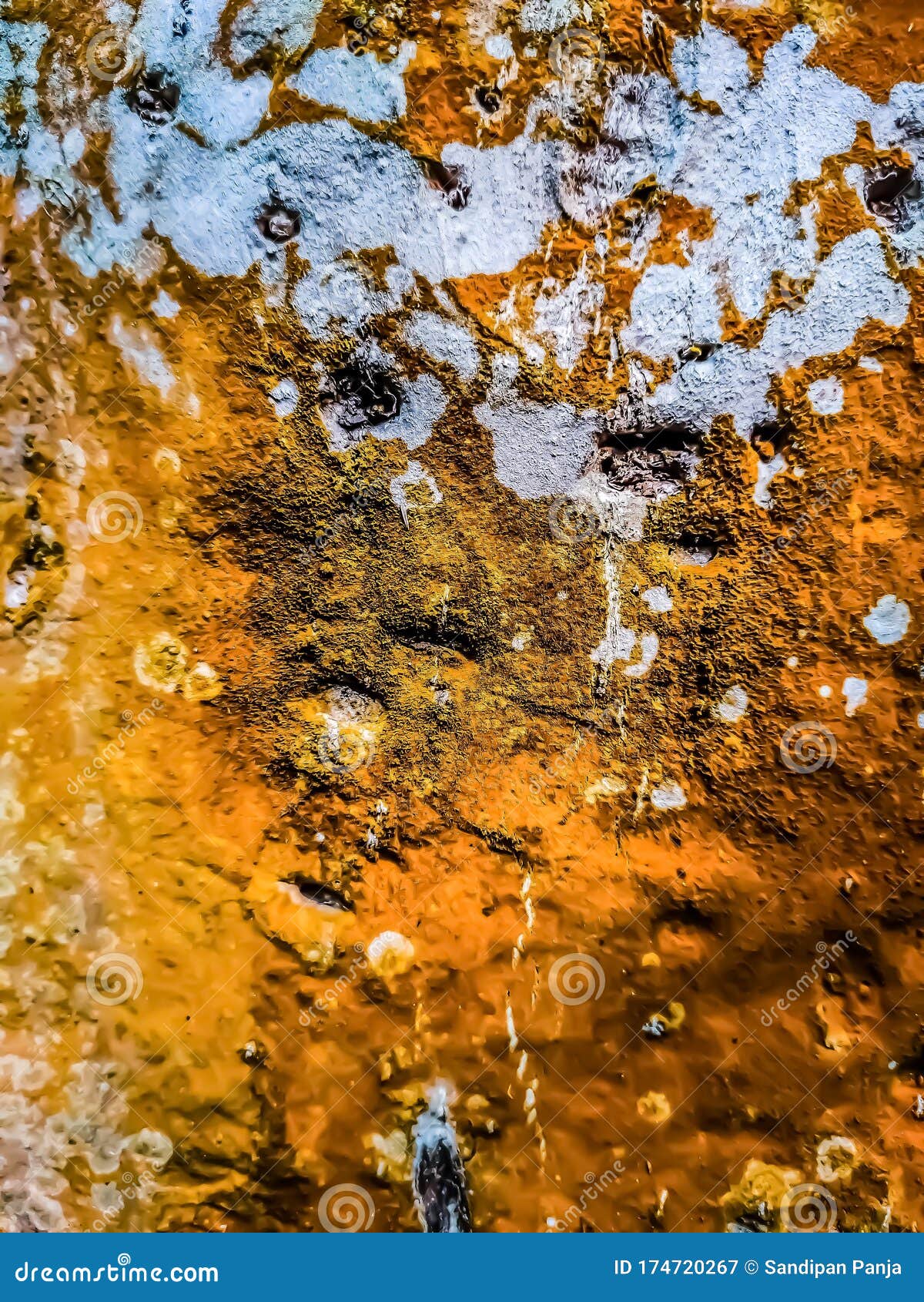 This is the Bark of the Terminalia Arjuna, is a Tree of Genus ...