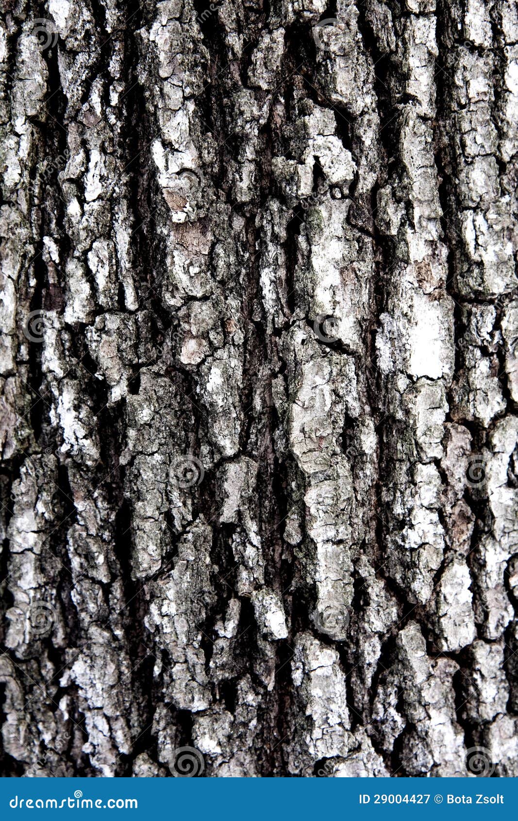 8K Bark Roughness Texture, Height Map Or Specular For Imperfection Map ...