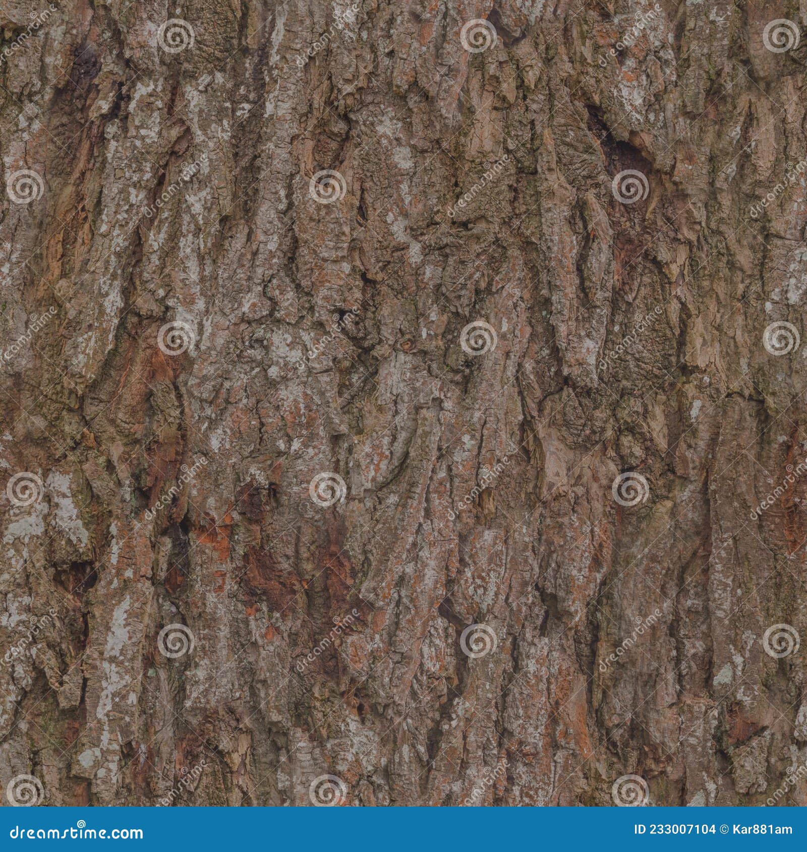 Bark Texture and Background. High Resolution Stock Photo - Image of ...