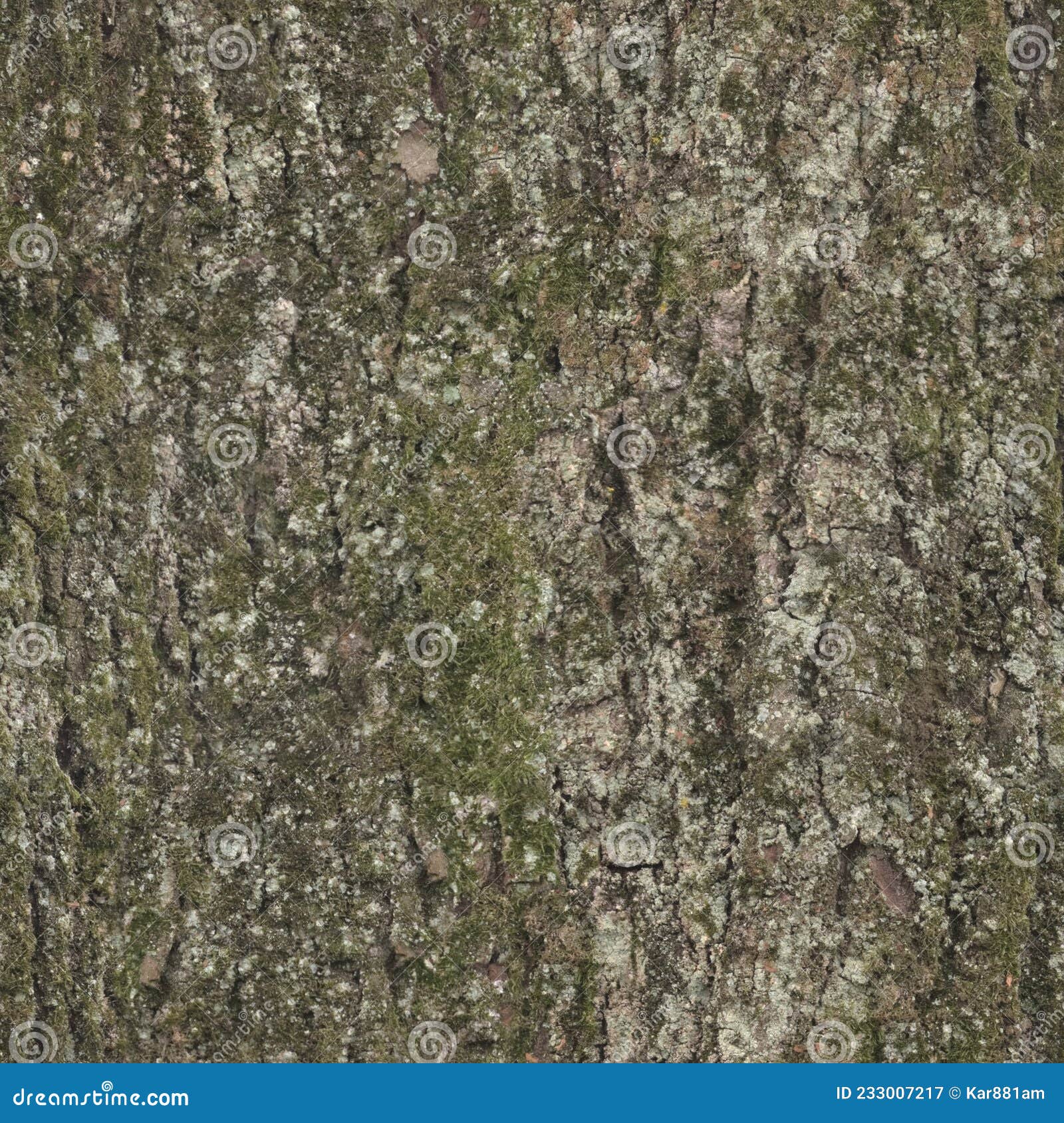 Bark Texture and Background. High Resolution Stock Image - Image of ...